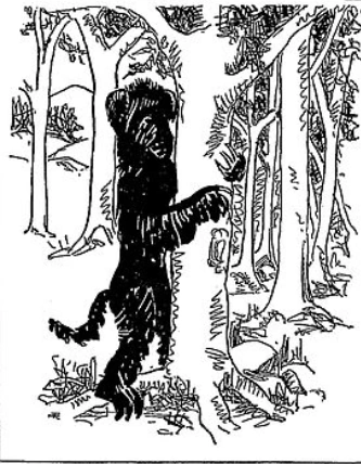 The Hide Behind | Fearsome Critters Wiki | Fandom