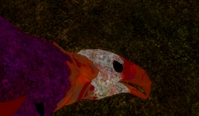 The Forgotten Eagle | Feather Family Creepypasta Wiki | Fandom