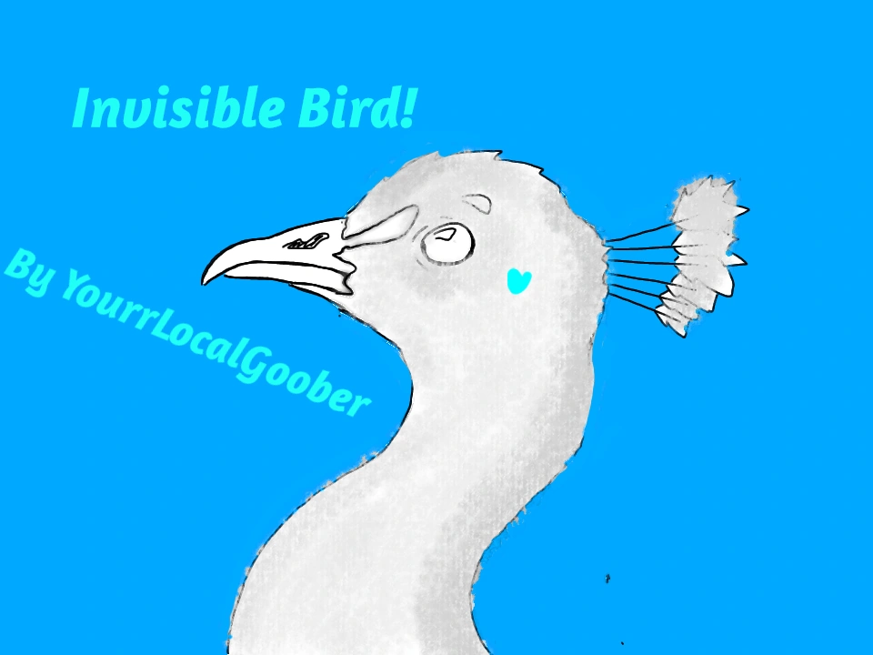 Invisible Bird | Feather Family NPC Wiki | Fandom