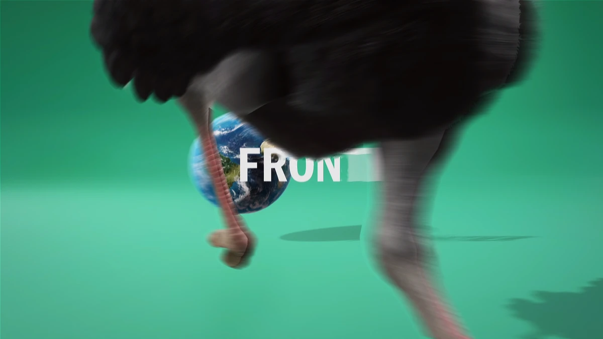 Testing page brrrrrrr | Feather Family NPC Wiki | Fandom