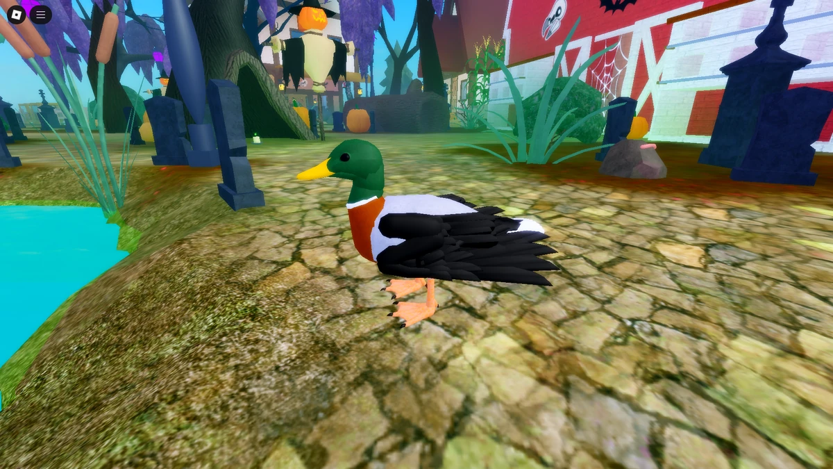 DROWNED DUCK | Feather Family NPC Wiki | Fandom
