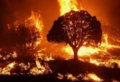 'HELL.' | Feather Family NPC Wiki | Fandom