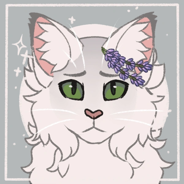 Dovekit | Feather’s Fall Wiki | Fandom