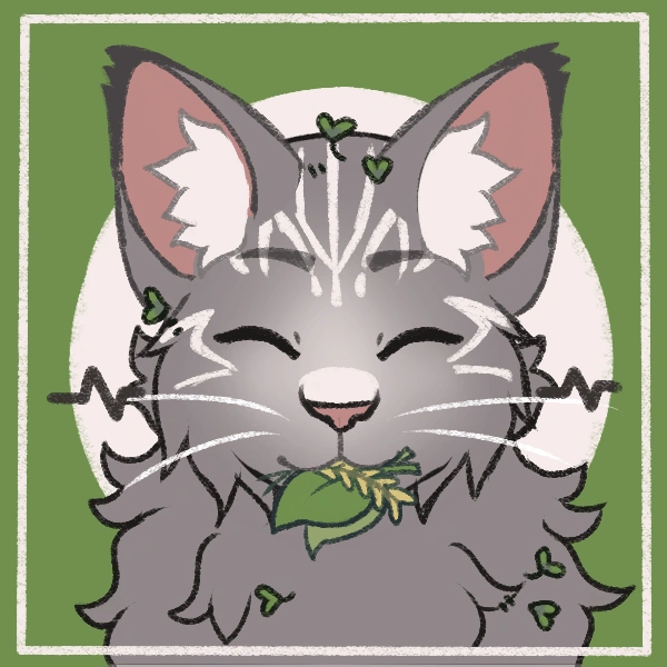 Morningdew Feather S Fall Wiki Fandom