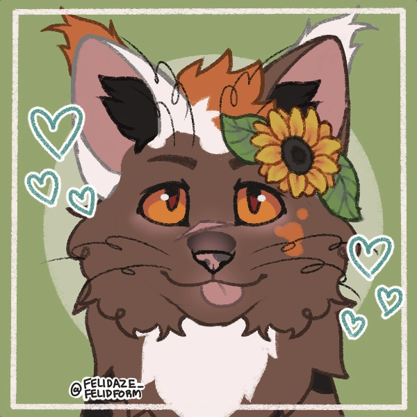 Duskysky | Feather’s Fall Wiki | Fandom