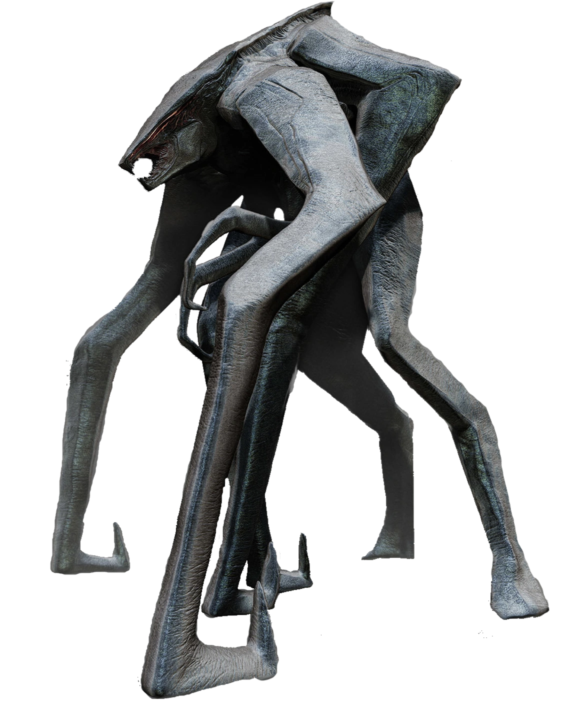 Cuanto Cuesta Un Muto