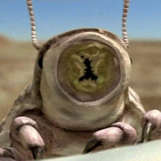 Bumblebeetle | Featteca Wiki | Fandom