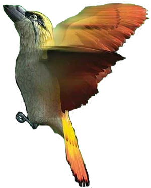 Spitfire Bird | Featteca Wiki | Fandom