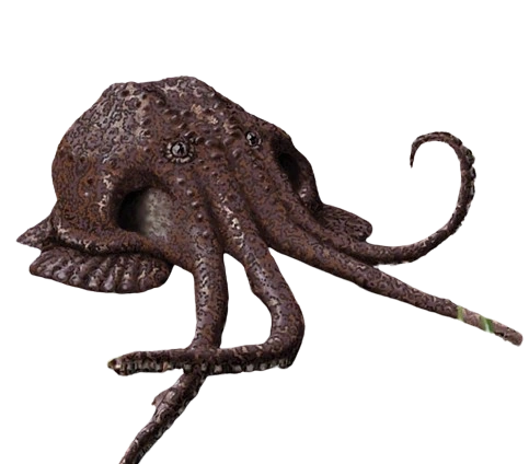 Swampus | Featteca Wiki | Fandom