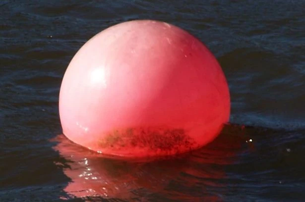 SCP-5293 | Featteca Wiki | Fandom