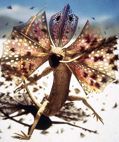 Cryptile | Featteca Wiki | Fandom