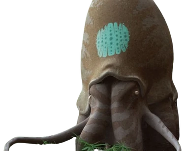 Megasquid | Featteca Wiki | Fandom