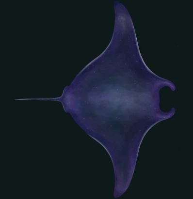 Space Manta Ray | Featteca Wiki | Fandom