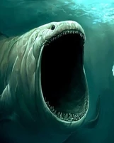 Fundación SCP | Featteca Wiki | Fandom