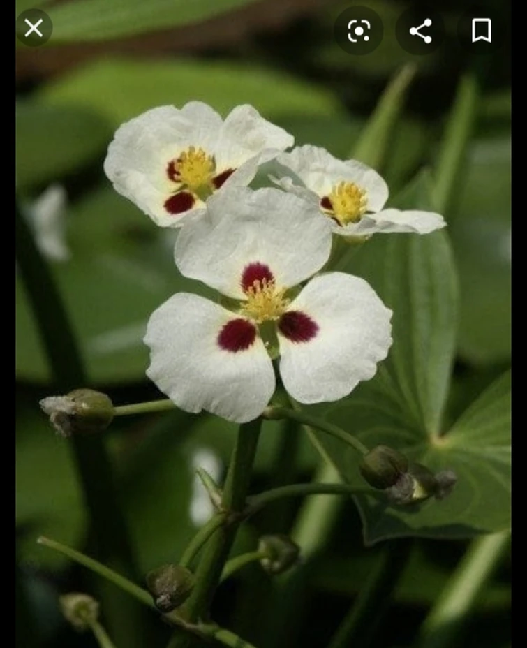 Discuss Everything About The Hunger Games Wiki | Fandom