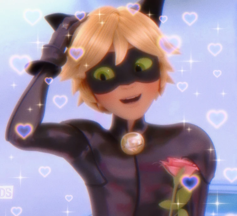 Miraculous Icons #85: CHAT NOIR BLUSHING EDITION ️☺️ | Fandom
