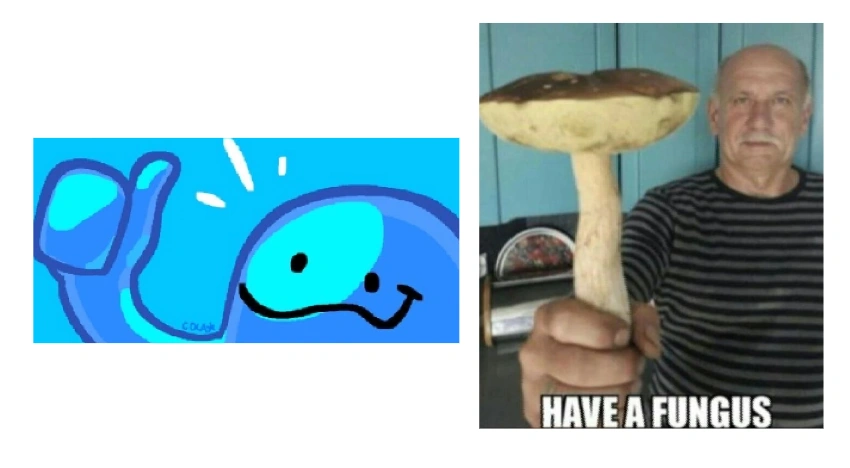 Something I noticed | Fandom