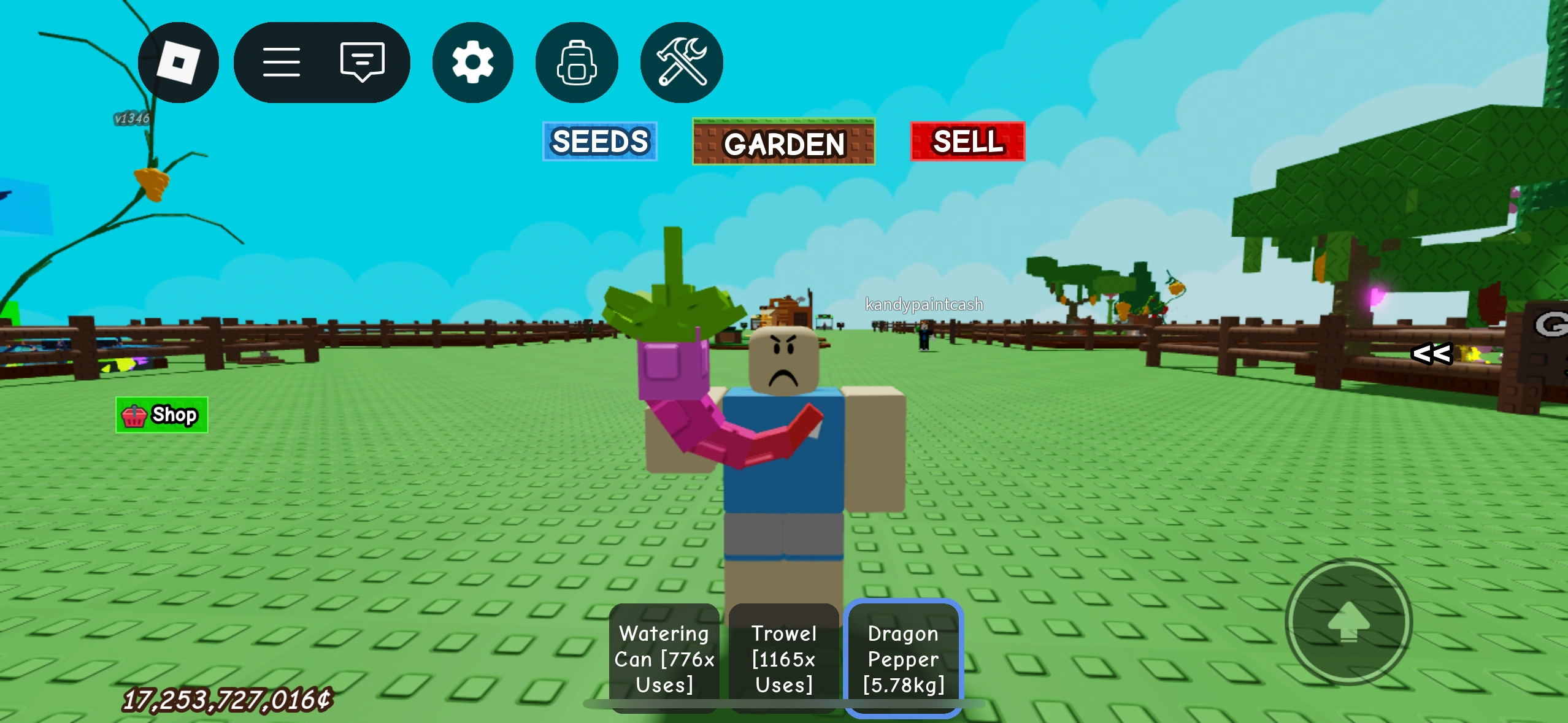 dragon pepper | Fandom