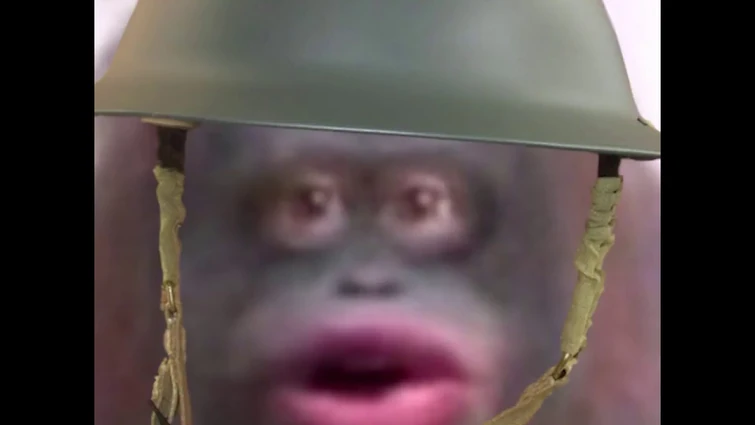 happe monke dance cicle go te w a r | Fandom