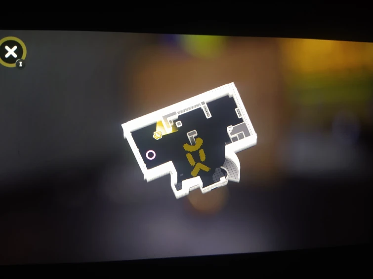 Squib squad (real) [Meme Teams/Squidparty] | Fandom