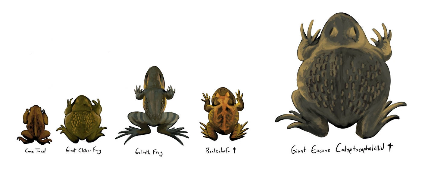 What's the coolest undescribed Extinct animal you know of | Fandom