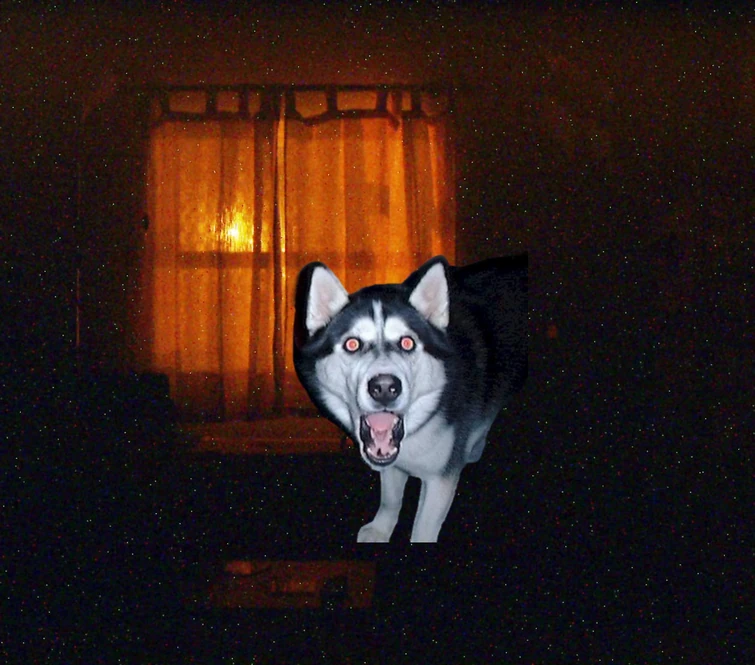 Who da hell put the crappy filtered smile Dog image | Fandom