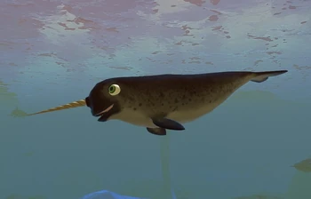 Narwhal | Feed and Grow Fish Wikia | Fandom