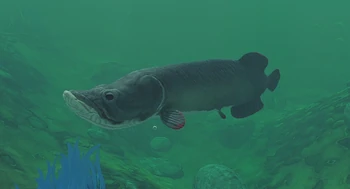 Arapaima | Feed and Grow Fish Wikia | Fandom