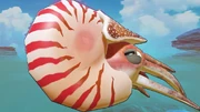 Nautilus | Feed and Grow Fish Wikia | Fandom