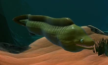 Creature Stats | Feed and Grow Fish Wikia | Fandom