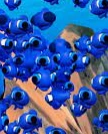 Dory | Feed and Grow Fish Wikia | Fandom