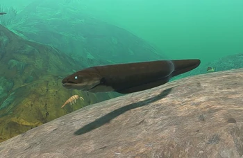 Electric Eel | Feed and Grow Fish Wikia | Fandom