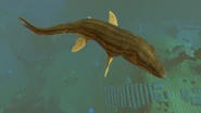 Prognathodon | Feed and Grow Fish Wikia | Fandom