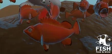 Norway Redfish | Feed and Grow Fish Wikia | Fandom