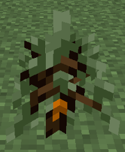 Rubber Sapling | Feed The Beast Wiki | Fandom