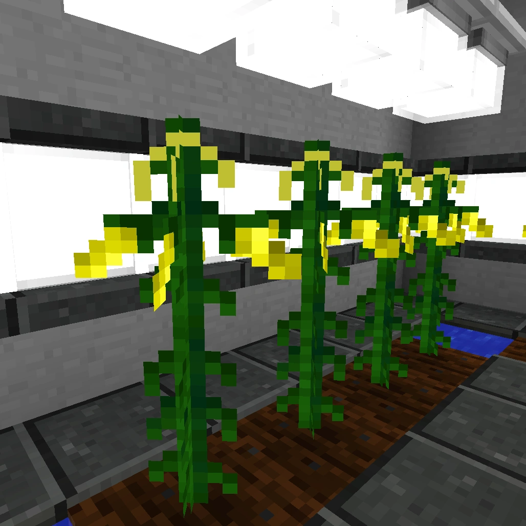 Corn | Feed The Beast Wiki | Fandom