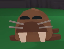 Walrus | Feed Your Pets! ROBLOX Wiki | Fandom