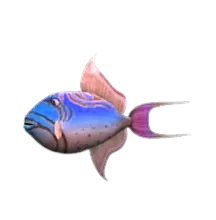 Quinn | Feeding Frenzy Wiki | Fandom