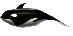 Orville | Feeding Frenzy Wiki | Fandom