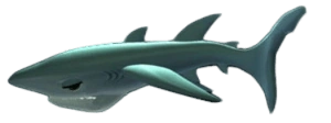 Shark | Feeding Frenzy Wiki | Fandom