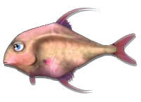 Pink Pompano | Feeding Frenzy Wiki | Fandom