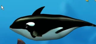 Orca | Feeding Frenzy Wiki | Fandom