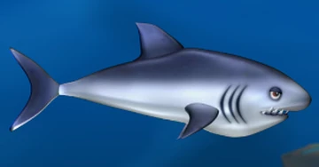 Shark Feeding Frenzy