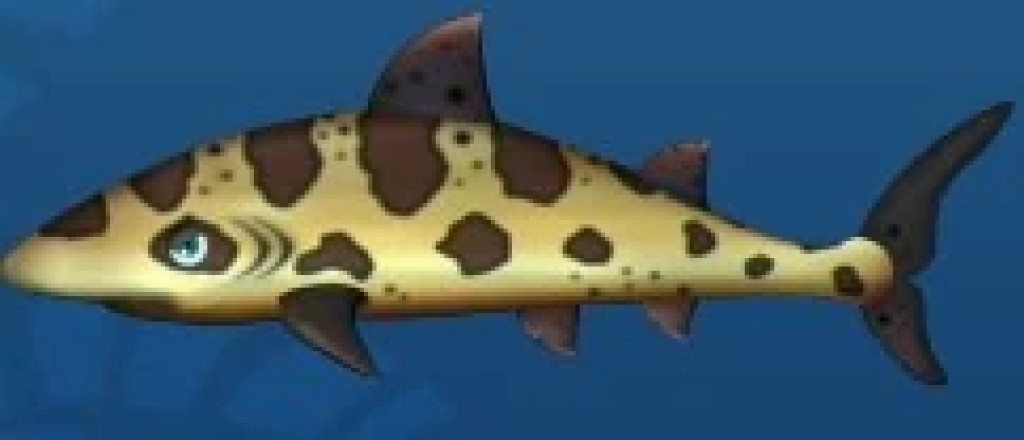 Leopard Shark Feeding Frenzy Wiki Fandom
