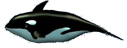 Fish | Feeding Frenzy 2 Wiki | Fandom