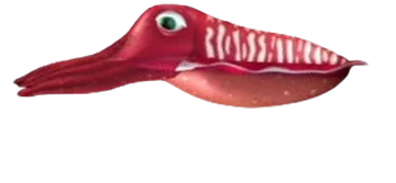 cuttlefish feeding strategy