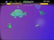 Feeding Frenzy 3 | Feeding Frenzy Mods Wiki | Fandom