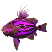 John Dory (fish) | Feeding Frenzy Mods Wiki | Fandom
