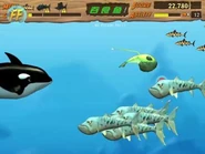 Feeding Frenzy 2: Alien Glory | Feeding Frenzy Mods Wiki | Fandom