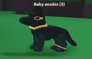 Anubis | Feed Your Pets Wiki | Fandom